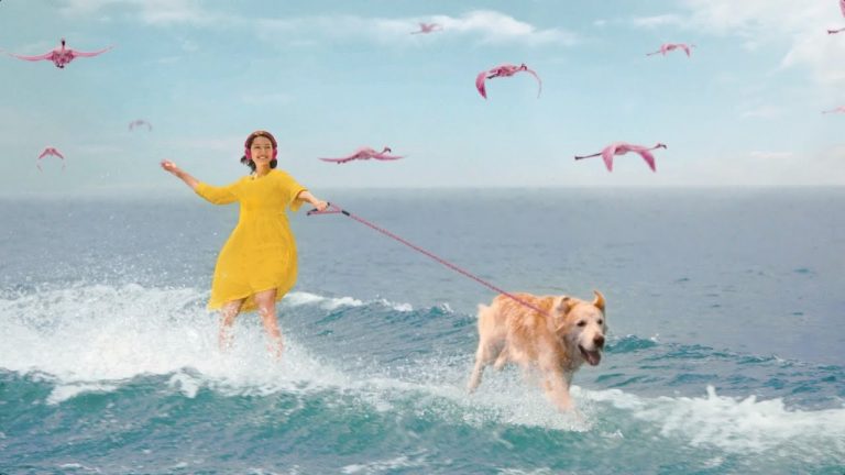Spotify（スポティファイ）「 今のサントラ 犬の散歩」篇 × 黒澤はるか Cm曲：世界中からサヨウナラ／dreams Come True